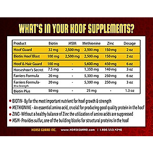 Hoof & Hair Guard 10 lb, Equine Hoof Strengthening & Coat Conditioning Supplement