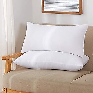 Acanva Throw Pillow Inserts, Couch Pillow Inserts with Hypoallergenic Polyester, 12" L x 20" W