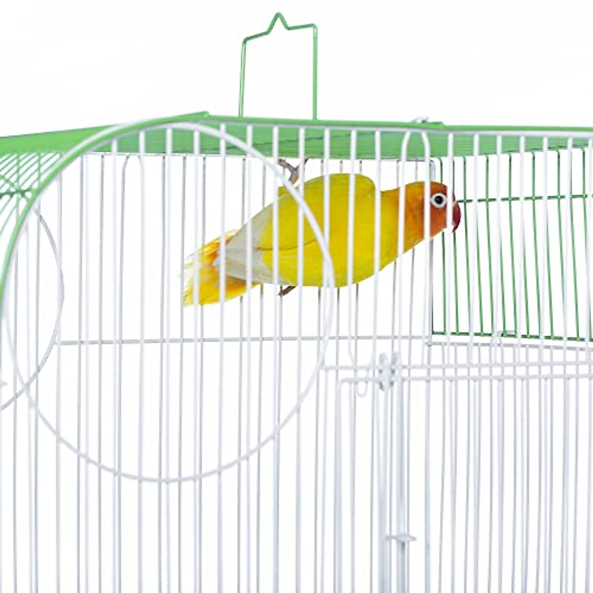 Prevue Pet Products South Beach Flat Top Bird Cage, Lime Green (SP50091),14 1/8" L x 11 1/4" W x 18 1/8" H