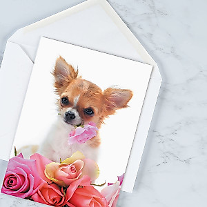 Current Big Bouquet Animal All Occasion Value Pack- Set of 20 (10 Designs), Large 5 x 7 Inch Cards, Birthday, Sympathy, Get Well, Friendship