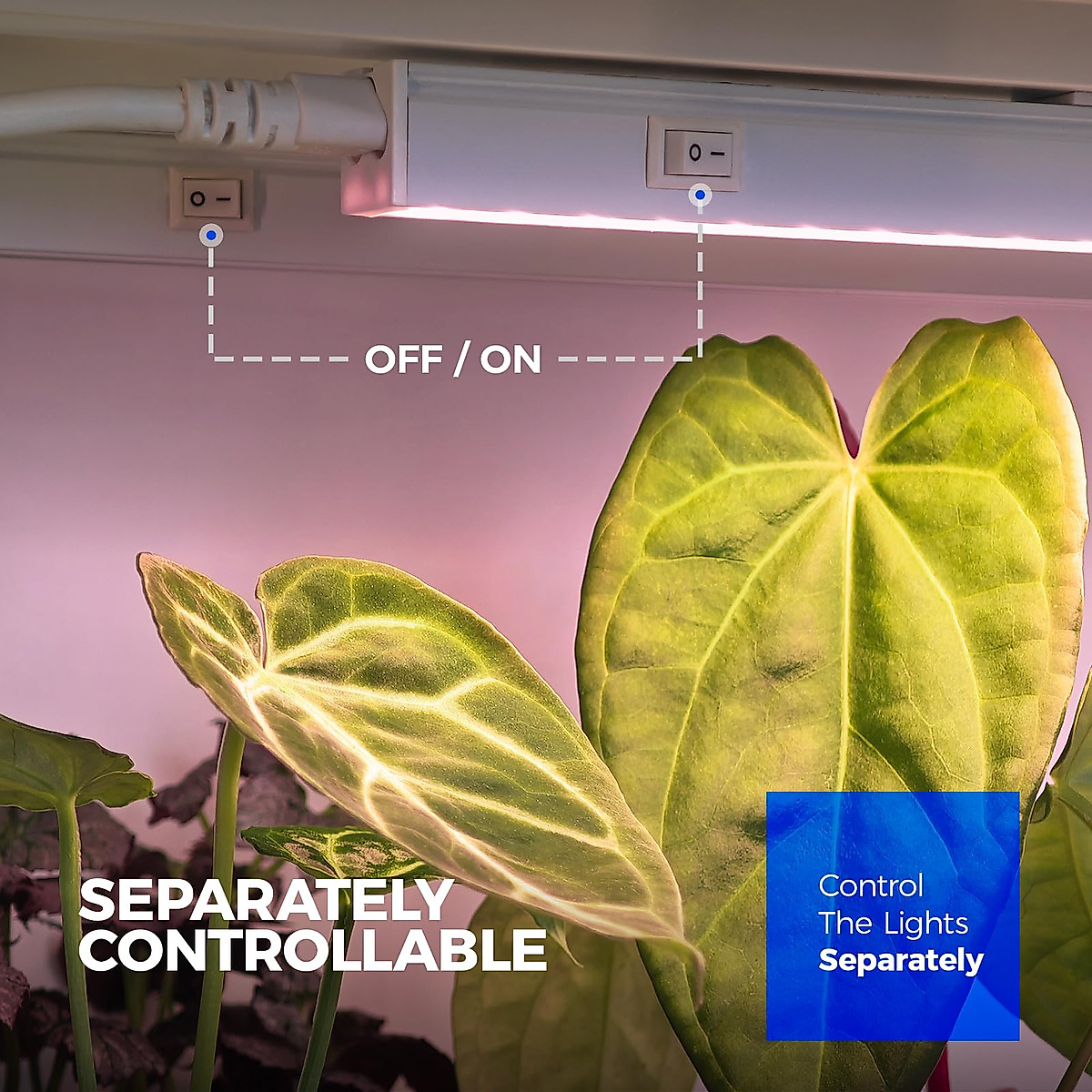 Barrina Grow Light for Indoor Plants, Full Spectrum Sunlight, 1ft Grow Lamp, LED Grow Light Bulbs, T5 Grow Light Strip, Plug and Play, Pinkish White, 4-Pack