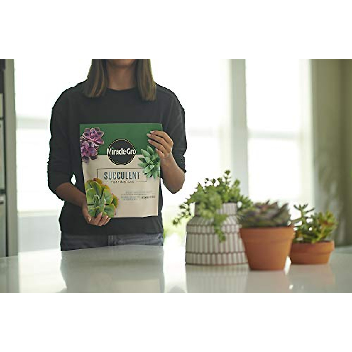 Miracle-Gro Succulent Potting Mix: Fertilized Soil with Premium Nutrition for Indoor Cactus Plants, Aloe Vera and More, 4 qt.