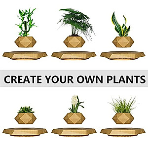 HCNT Levitating Plant Pot, Magnetic Levitation Flower Pot Rotating Planters Suspension Floating Plant Succulents Potted for Home Living Room Office Desk Decoration (Wood)