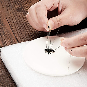 Stainless Steel Insect Pins Kit Specimen Entomology Pins Butterfly Collections Needles Variety Pack for School Lab Entomology Dissection Butterfly Collectors (500 Pieces, 5 Sizes)