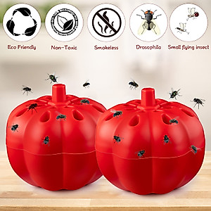 16 Pcs Fruit Fly Traps for Indoors Fruit Fly Killer Indoor Food Areas Gnat Traps for House Indoor Pumpkin Shape Gnat Killer Indoor Safe and Efficient Fly Catcher for Home Mosquito Kitchen Outdoor