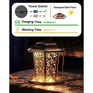 Solar Bird Feeders for Outdoors Hanging - Premium Grade Metal Bird Feeder, Chew-Proof, Weather and Water Resistant Wild Bird feeders, Outside and Garden Decoration (Standard)