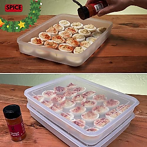 Serve Perfect Deviled Eggs with Ease - 2 Clear Egg Containers with Lid Hold 48 Eggs, Easy Pipe Filling and Carry, Dishwasher Safe Carrier, Stackable, BPA-Free, Party-Ready for Delicious Results
