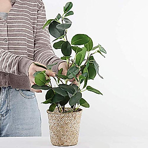 SAROSORA Artificial Ficus Tree Fake Plants in Weaved Pot 20" Height for Living Room Decor Indoor Home Office Ins Style (Green, 1)