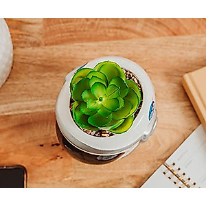 Silver Buffalo NASA Astronaut Decorative Artificial Faux Greenery Plant in Ceramic