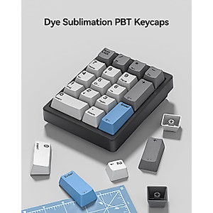 Kisnt Mechanical Number Pad,Hot Swappable Numpad Wired USB 17 Keys Keypad White Backlit Numeric Keypad with PBT Keycaps for Laptop PC Compact Keyboards (Black, Brown Switch)