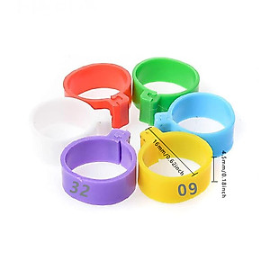 Emsiok 60 PCS Chicken Leg Rings 16mm Clip On Chicken Identification Leg Bands Poultry Ankle Bands Numbered Chicken Leg Bands Multicolor Chicken Foot Bands for Chickens Gamefowl Turkey Duck Goose