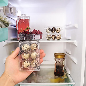 KUKLIPJIM 300 Pack Quail Egg Cartons, Clear Plastic Quail Egg Trays, Holds up to 6 Quail Eggs Securely - Your Ultimate Small Eggs Carton Holders for Bulk Storage and Display