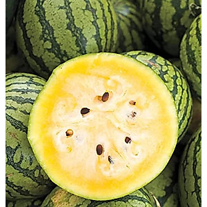 TomorrowSeeds - Yellow Crimson Watermelon Seeds - 20+ Count Packet - for 2023 Open Pollinated Non GMO Sweet Tropical Exotic Melon USA Garden