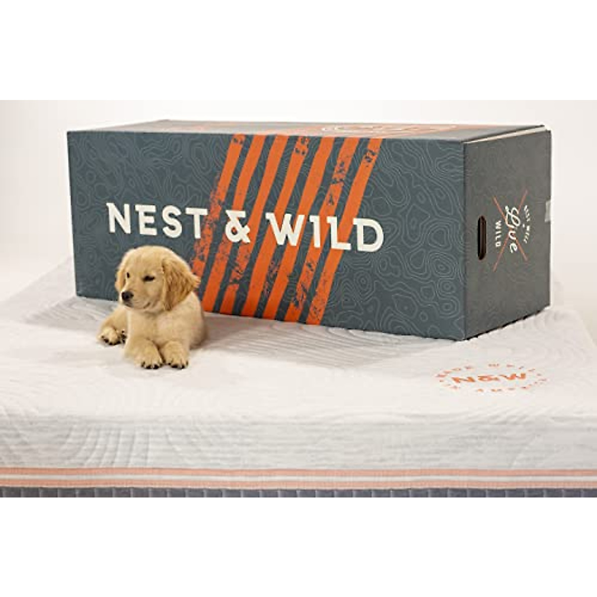 Nest & Wild Mattress Plush 12 Inch | Made in The USA | 100% Fiberglass-Free Cool Touch Cover | Ventilated Memory Foam | Bed in a Box | CertiPUR-US & OEKO-TEX100 Certified Foams (King)
