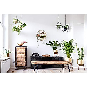 kimisty Gold Round Wall Shelf, 20 Inch Extra Large, Circular Bathroom, Bedroom Floating Shelves, Circle Brass Geometric Wall Art, Boho Metal Wire Mesh Sconce & Crystal Shelf