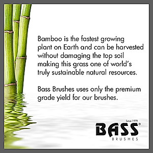 Facial Cleansing Brush - Natural Bristle Wood Handle