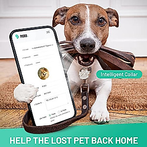 Personalized Dog Tag QR Code Pet ID Tags Online Profile Modifiable, Scan QR Receive Instant Pet Location Alert Email - Red S