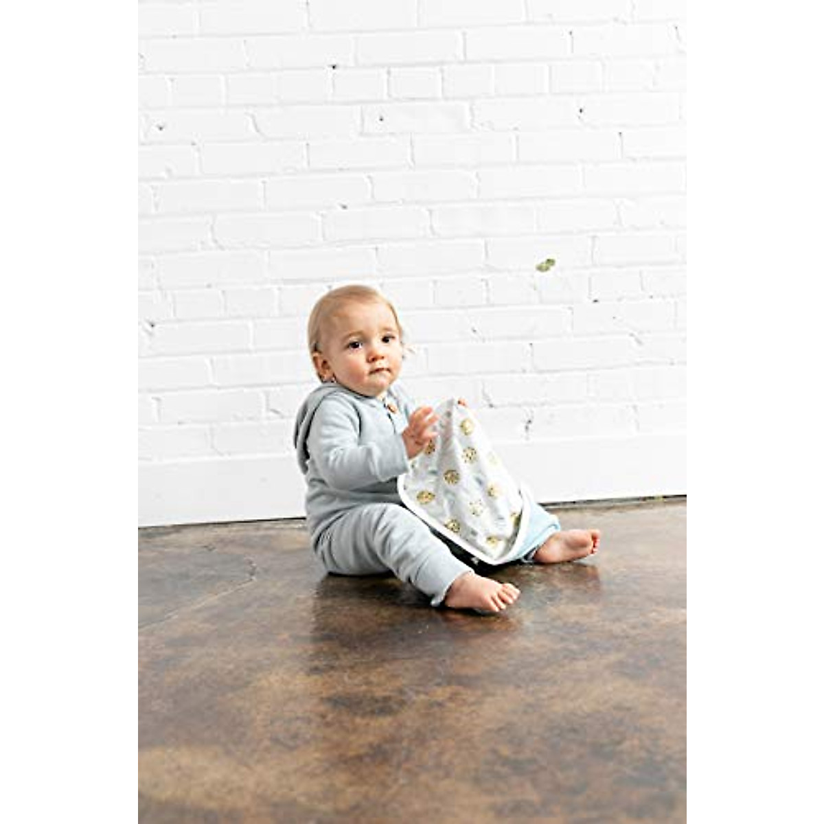 Copper Pearl Baby Security Blanket Set of 2 - Portable Size for Self-Soothing On-The-Go, Ideal Baby Blankets for Boys and Girls, Ultra-Soft, and Gift-Ready Loveys - Chip