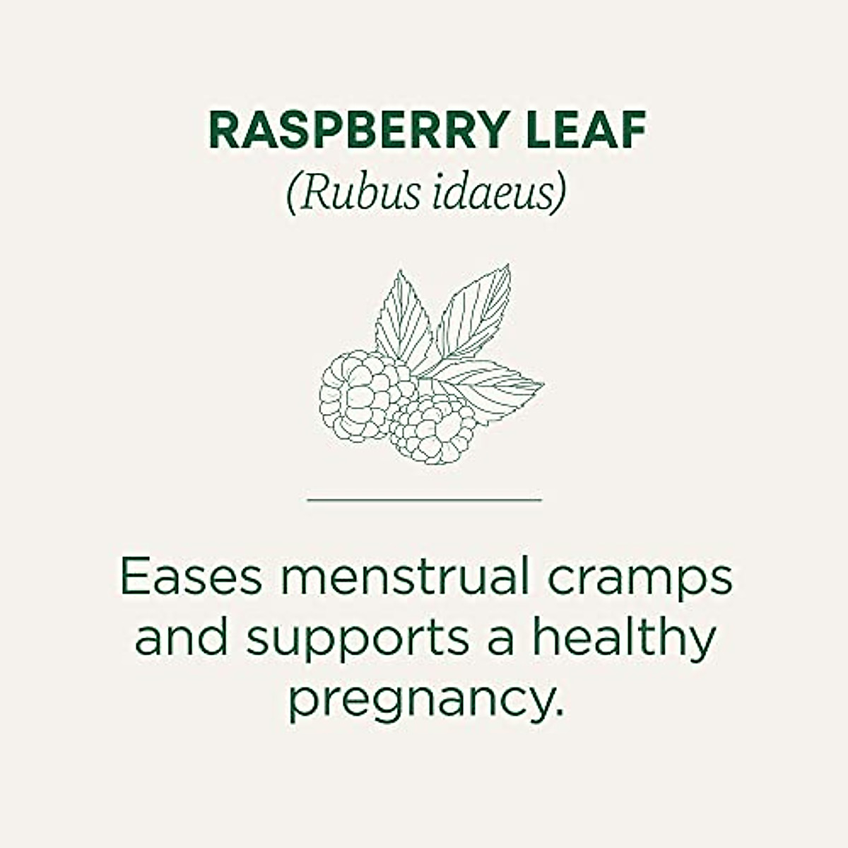 Traditional Medicinals Tea, Organic Raspberry Leaf, Eases Menstrual Cramps, Supports a Healthy Pregnancy, 48 Tea Bags (3 Pack)