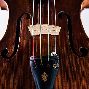 Thomastik-Infeld 141 Dominant Synthetic Core Viola Strings, Medium Gauge, 4/4 Scale, Set of 4