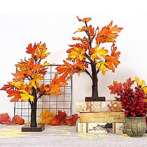 Efunly 2 Pack Fall Maple Tree with 48 LEDs Battery Operated Light Up Artificial Pumpkins Maple Acorn Tree for Fall Thanksgiving Table Harvest Home Indoor Decoration