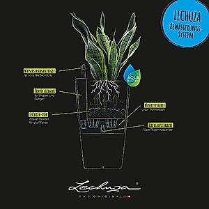 Lechuza 13164 Cubico Color 22 Self-Watering Planter for Indoor and Outdoor Use, 9" x 9" x 16", Slate Matte