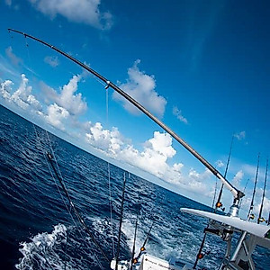 Tigress XD 3K Carbon Fiber 18' Telescoping Center Rigger with Patented Tigress Track Internal Tracking System, for use on Sports Fishing Boats up to 40 feet