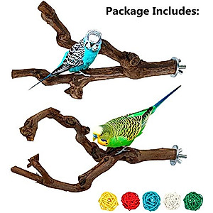 OCHSTIN Parrot Perch Stands Birds Stand Pole Natural Wild Grape Stick Grinding Paw Climbing Standing Cage Accessories Toy Branches for Parakeet, Budgies, Lovebirds