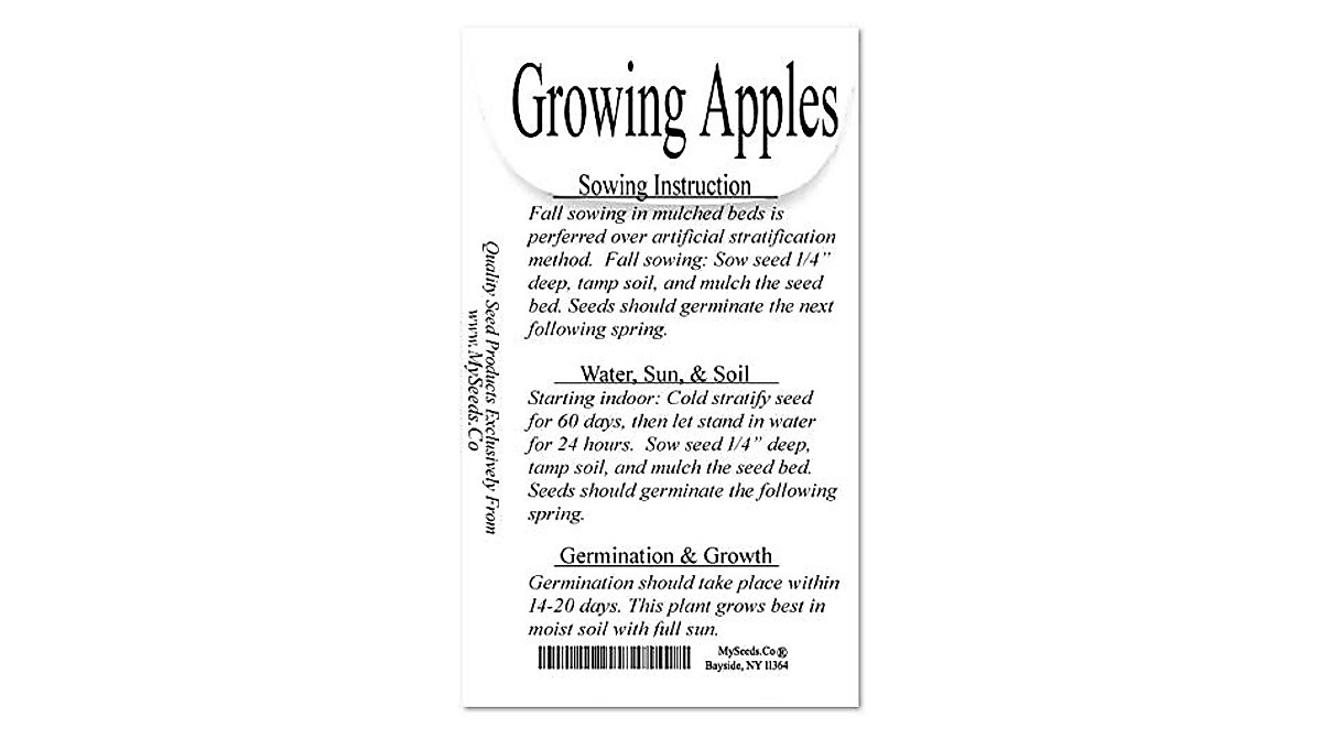 Big Pack Red Delicious Apple Seeds - 500 Tree Seeds