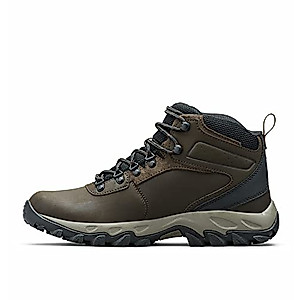 Columbia mens Newton Ridge Plus Ii Waterproof Hiking Boot, Cordovan/Squash, 8.5 US