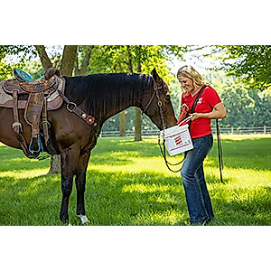 Exceed 6-Way (50lb) High Level Performance Horse Support