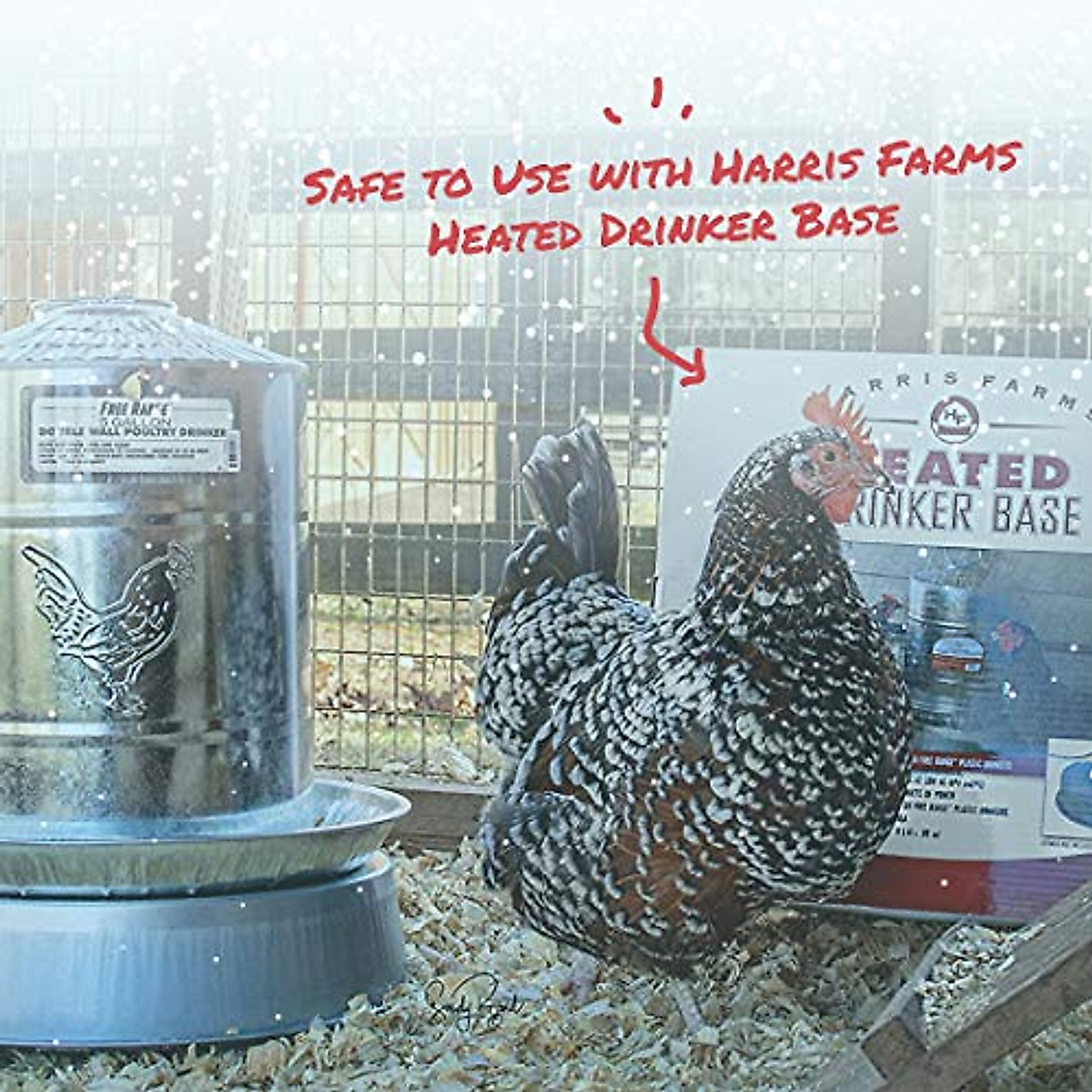 Manna Pro Hanging Chicken Waterer for Chicken Coop | Holds 2 Gallons of Water | Harris Farms Galvanized Steel Double Wall Poultry Drinker ,Silver