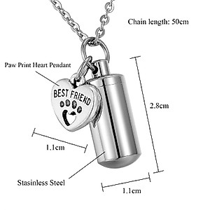 TTVOVO Pet Cremation Urn Necklace for Ashes Memorial Keepsake Ashes Holder Urn Locket Best Friend Dog Paw Urn Cylinder Necklace with Angel Wing Charm Pendant Necklace for Men Women Remembrance Jewelry