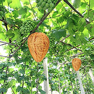 4 Pack Wasp Nest Decoy Wasp Deterrent for Hornets Yellow Jackets Outdoor Waterproof Material
