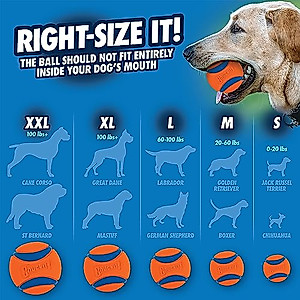 Chuckit Ultra Ball Dog Toy, Medium (2.5 Inch Diameter) Pack of 2, for breeds 20-60 lbs
