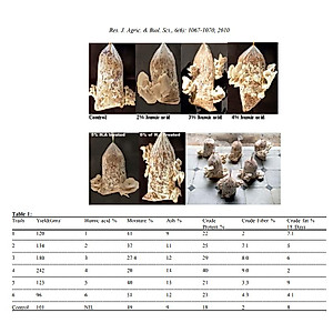 DrMyc.com Magical Gypsum for Mushroom Substrates - Lab Grade Purity Gypsum with Organic Humic Acid, Biochar, Sucrose & MGP Microbes for Mushroom Growing (3.0 lbs)
