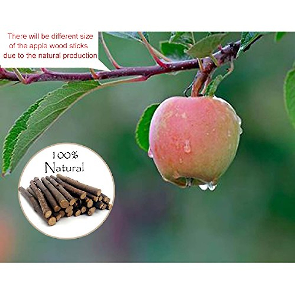 500g Organic Apple Sticks for Rabbits Wood Tree Branches Pet Snacks Chew Toys Branch for Guinea Pigs Chinchilla Squirrel Bunny Hamster Small Animals Teeth Grinding