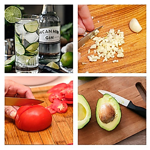 SPITJACK 3.5 Inch Paring Knife (Two-Pack)