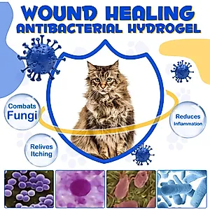 Cat Wound Care Spray - Wound Healing Aid Treatment for Cats Helps with Skin Repair for Wounds, Cats Irritated Skin & Itchy Skin Relief | Cats Supplement | Gentle Wound Care Spray - 3.38 Fl.oz / 100ml