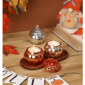 Pumpkin Shaped Candle, Fall Farmhouse Decoration, Autumn Pumpkin Spice Scented Set, Halloween Thanksgiving Candle Gift(3 x 4.5oz)