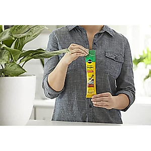 Miracle-Gro Pour & Feed Singles Ready-To-Use Liquid Plant Food - Pre-Measured Liquid Plant Fertilizer for Potted Plants, 2 oz. Singles