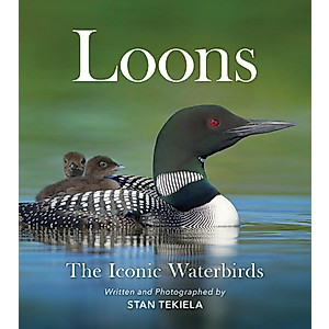 Loons: The Iconic Waterbirds (Favorite Wildlife)