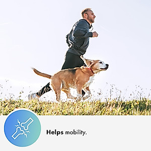 iHeartDogs Hemp Calming & Mobility Chews for Dogs - Dog Anxiety Relief Bites with Hemp - Bacon Flavored Dog Calming Treats for Anxiety, Stress, & Joint Movement