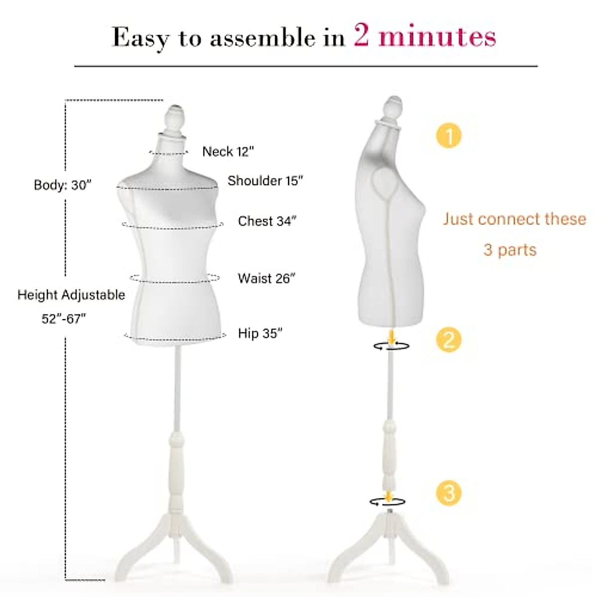 Dress Form Mannequin Torso, Female Sewing Bust Manikin Body, Pinnable Dressmaker Form with Stand for Display, Clothing Design, White