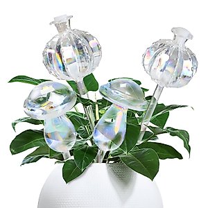 Aukney [4 Pcs] Plant Watering Globes, 9 Inch Glass Iridescent Self Watering Planter Insert, Rainbow Gradient Color Clear Mushroom & Cactus Watering Device for Indoor and Outdoor Plants Accessories