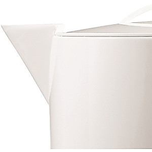 Brentwood Electric Kettle Hot Pot BPA Free, 32 oz, White