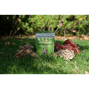 MAXIMUM IMMUNITY >25% β-glucan 100% Mushrooms Fruiting Body Extracts, Veterinarians formulation for Dogs & Cats Immune & Digestive Systems with Turkey tail & >35% β-glucan Reishi extracts.250 SERVINGS