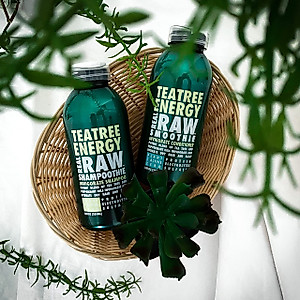 Real Raw Tea Tree Shampoo & Conditioner set - Cleanse, Hydrate + Invigorate - No Water 100% Pure Aloe Juice & Coconut Water - Sulfate & Paraben Free