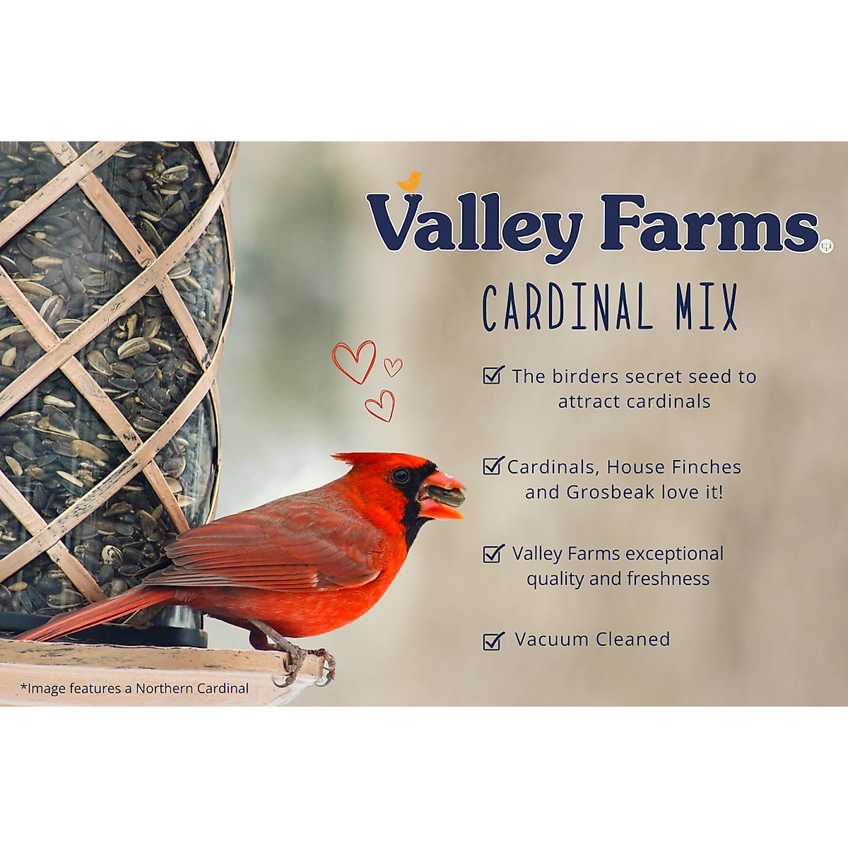 Valley Farms Cardinal Mix Wild Bird Food for Outside Feeders, Cardinal Bird Seed with Black Oil Sunflower Seeds and Safflower Seeds, Attract a Variety of Wild Birds (10 LBS)