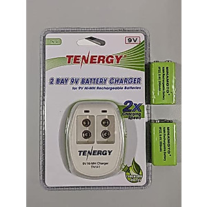 Garrett Recharger Kit for Garrett SuperWand and THD - 2 NiMH Batteries and 110 Volt 1612000